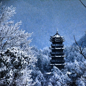 弱水三千万里 