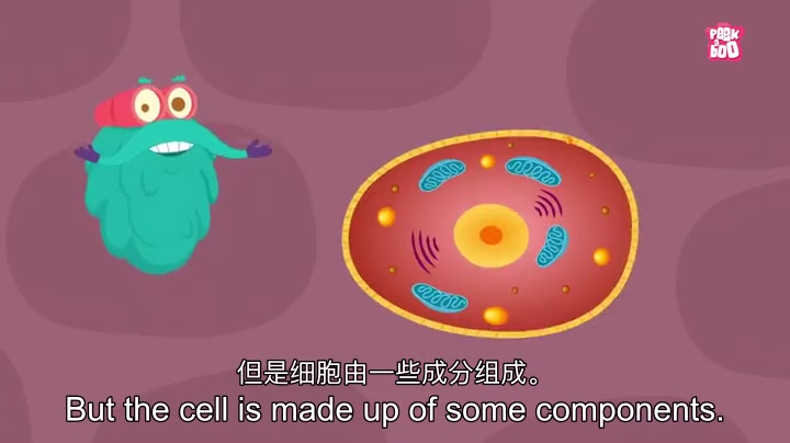 细胞是如何在我们体内工作的?