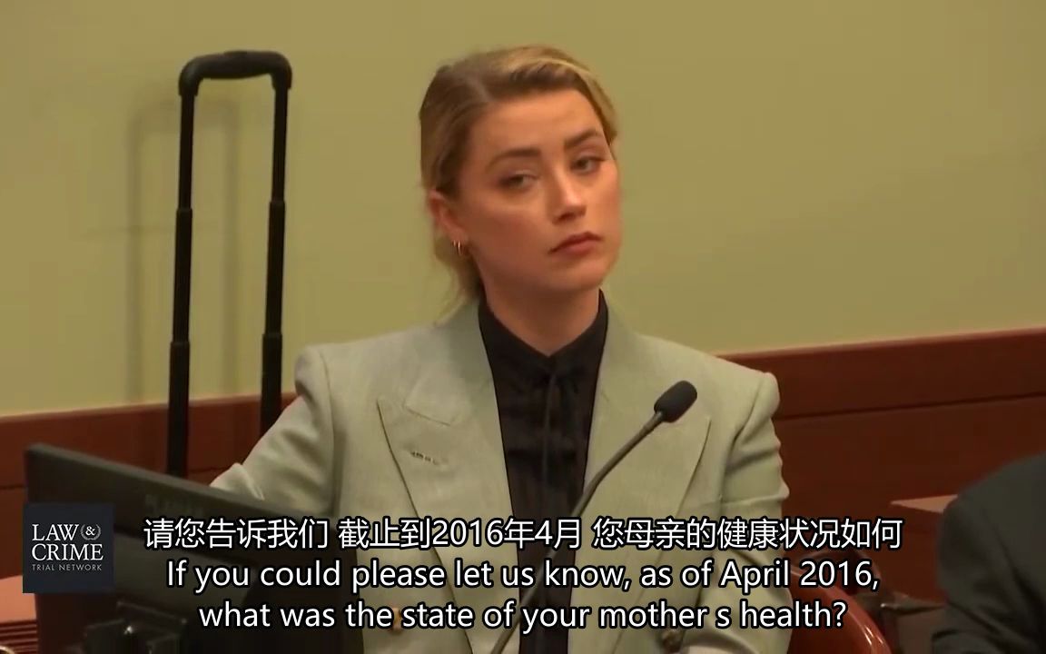【中英双字】【熟肉】德普庭审DAY1.06