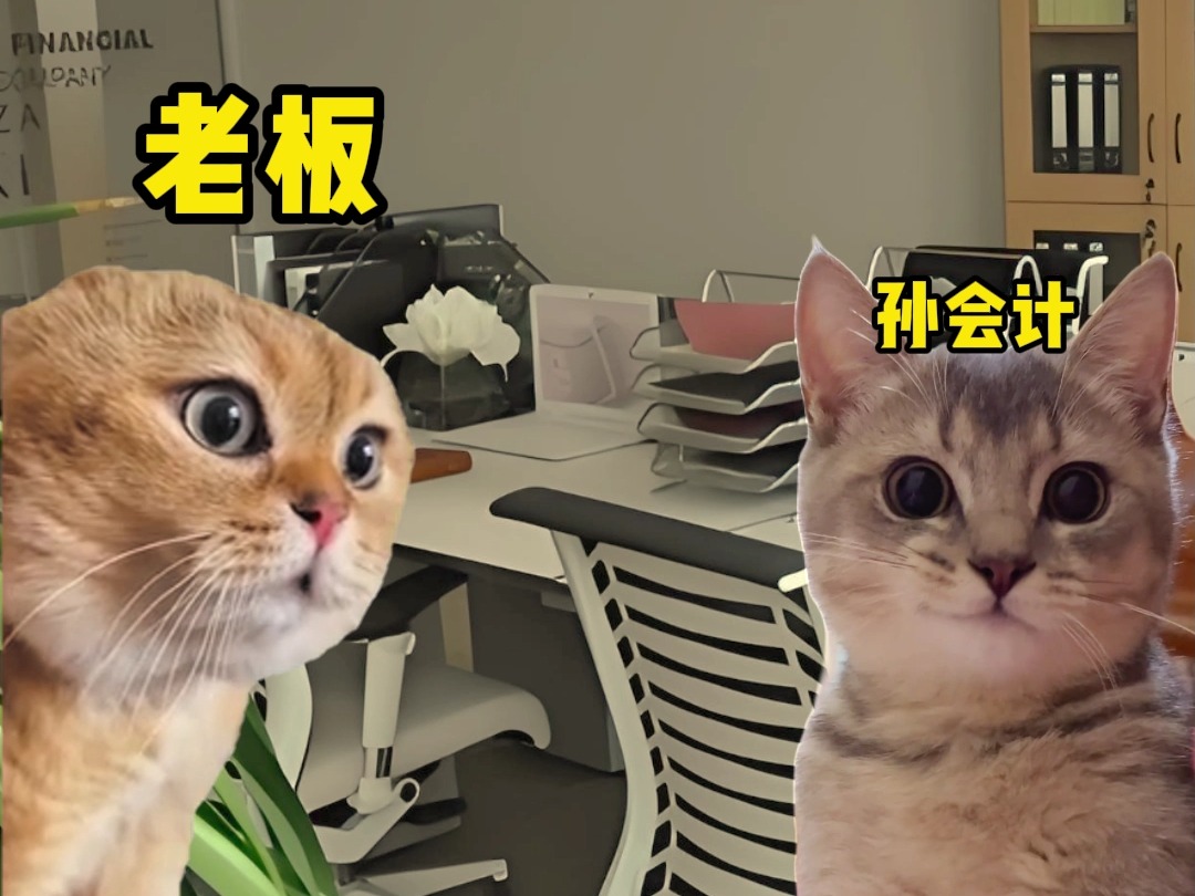 老板又来搞事情?就没有会计解决不了的账! (PS:票总管发票管理专家,...