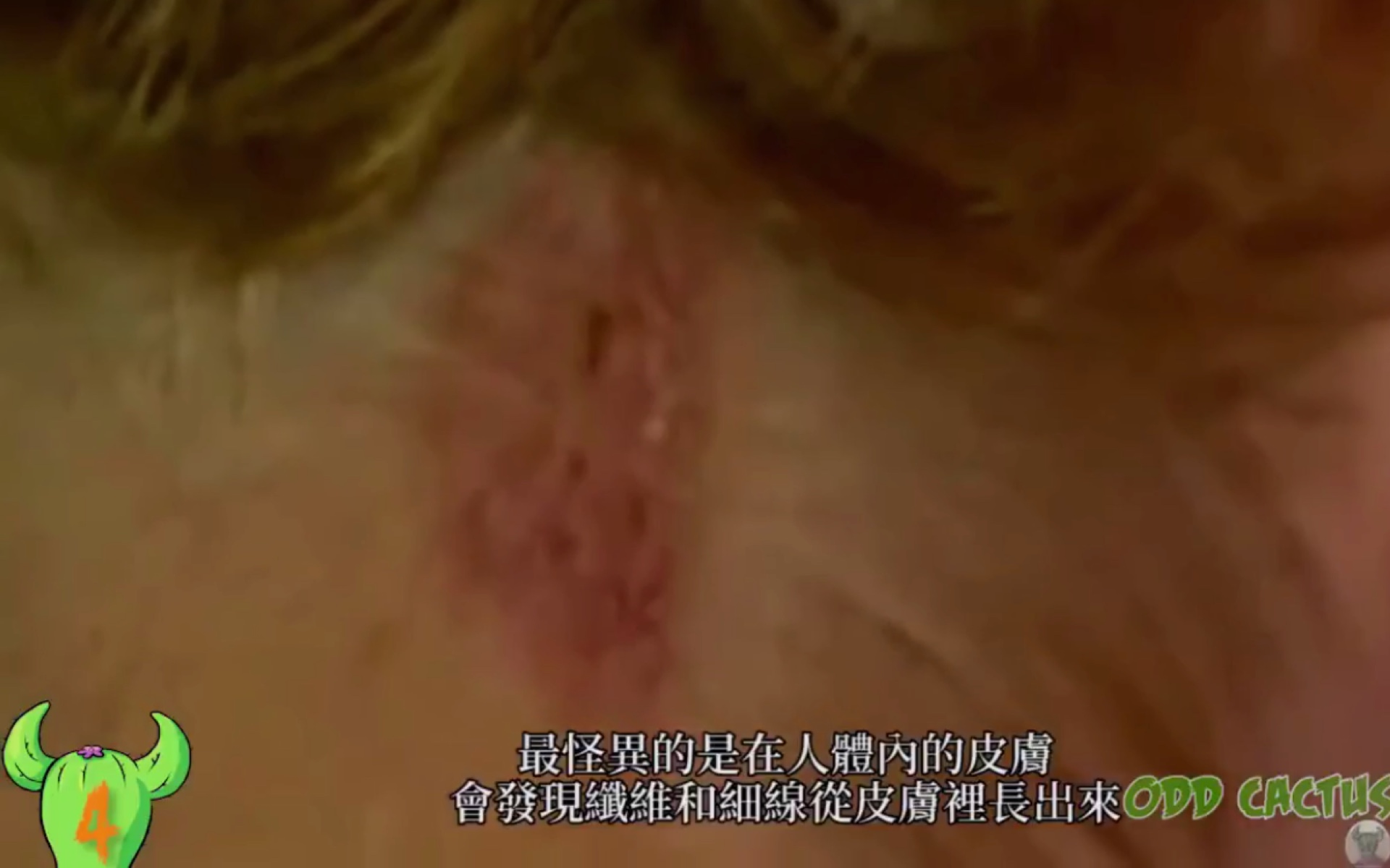 五个极其诡异无法解释的离奇事件