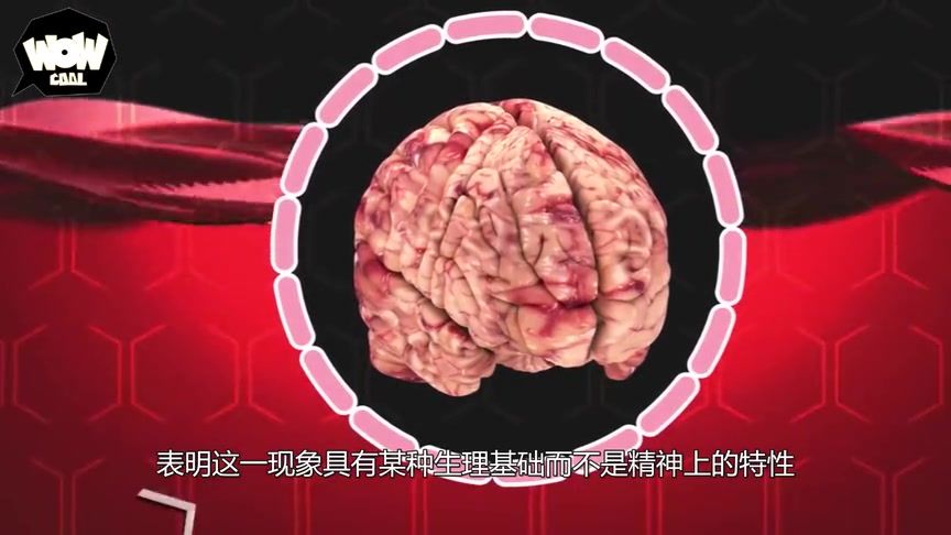 人体死亡之后,大脑还能活多久?