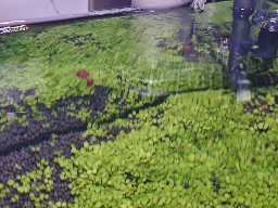 随机负负得正404 