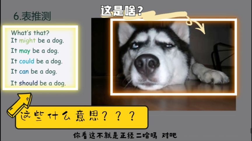 【语法】情态动词表推测,表建议怎么用?零基础英语语法,一起学