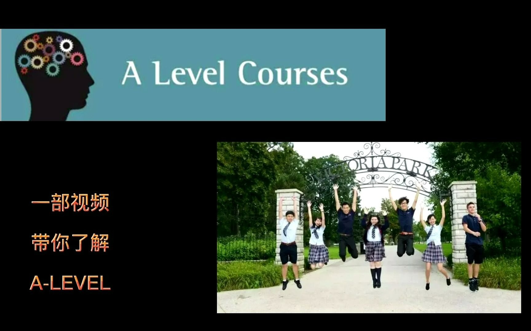 ALEVEL是什么课程