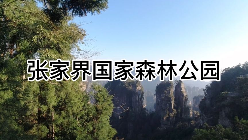 老彭带你游张家界国家森林公园