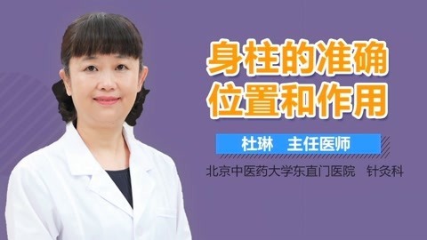 身柱的准确位置和作用