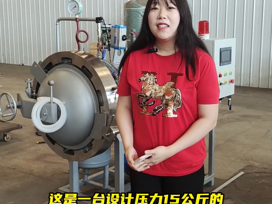 小型实验室高压不锈钢试验罐 小型真空压力罐设备展示视频 定制