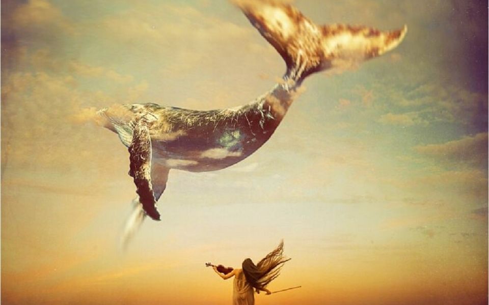 【中英双字/微记录/网易公版影像典藏计划】人为何要创造(1968)