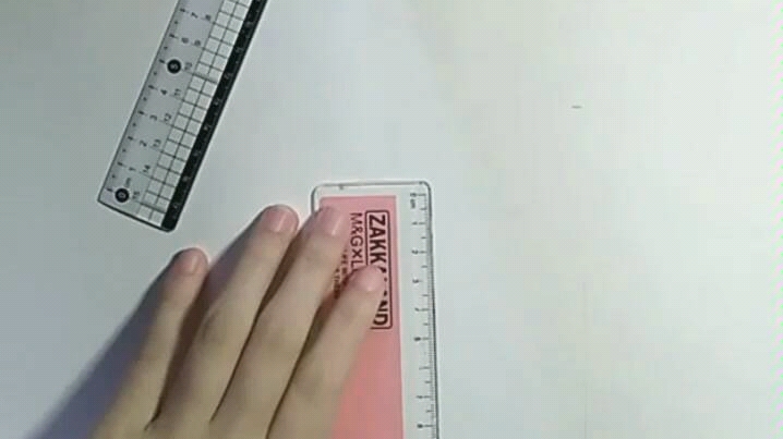 【手绘】画一个植物细胞。谁可以来教我画内质网!