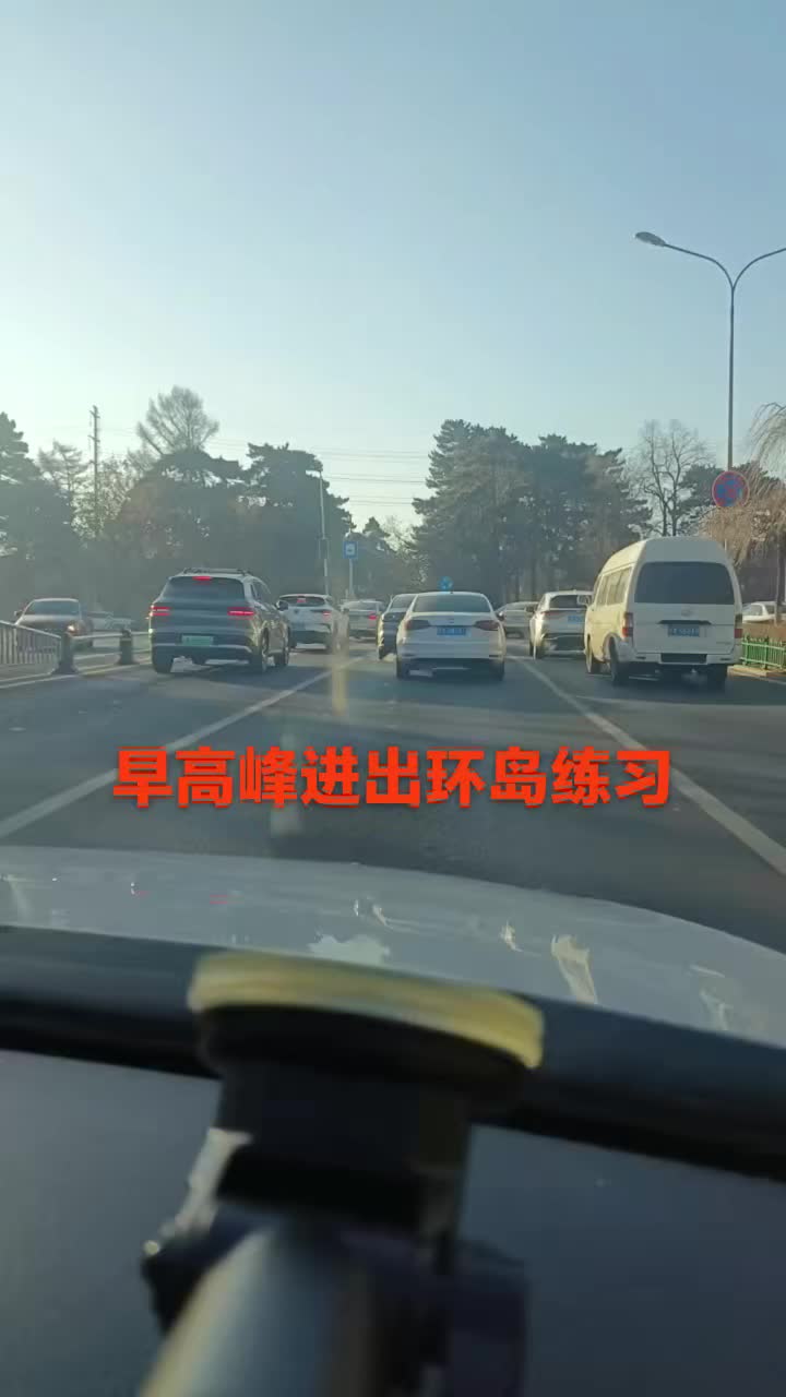 ...自动挡,轿车,suv越野车均有,欢迎大家前来体验学车!#汽车陪练 #新手...