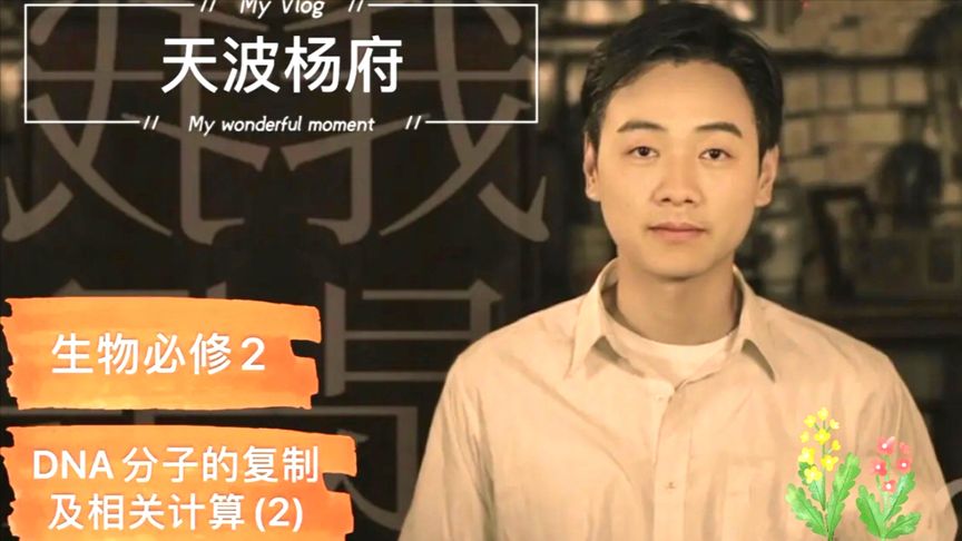 天波杨府生物课,高考生物,必修2,DNA分子复制及相关计算(2)