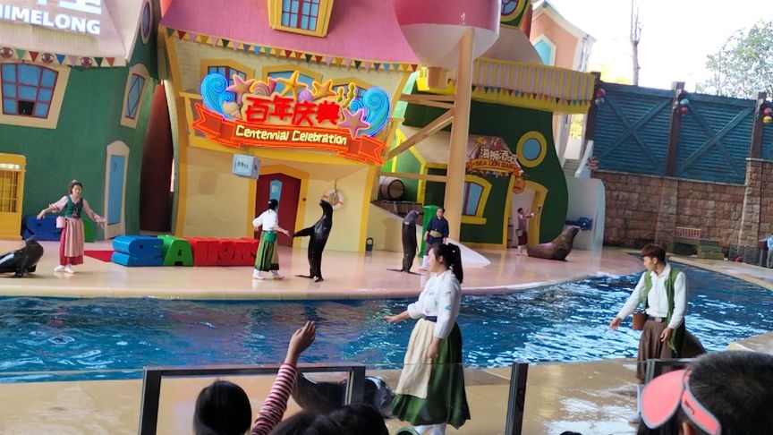 珠海长隆海狮表演