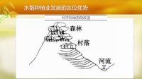 高中_地理_微课《分析水稻种植业发展的区位优势——以哈尼梯田为例...