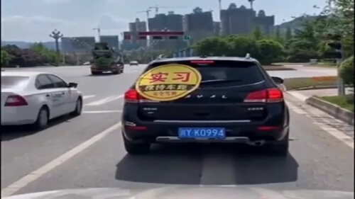 贴实习标的好处,过往车辆都会让着点,真好!