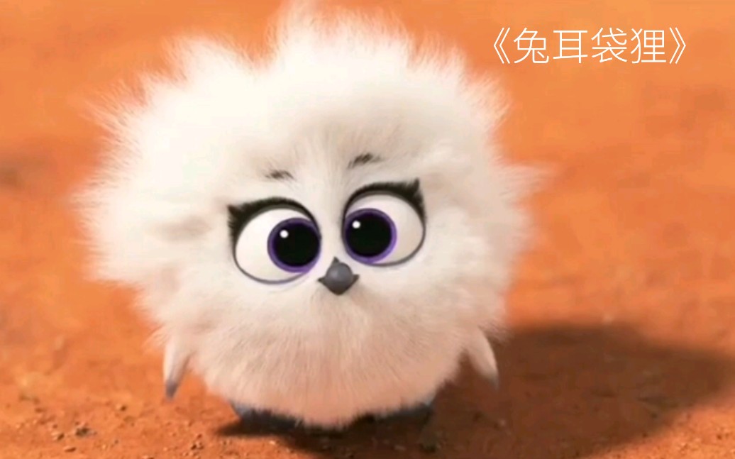 2019年奥斯卡最佳动画短片前10强-*