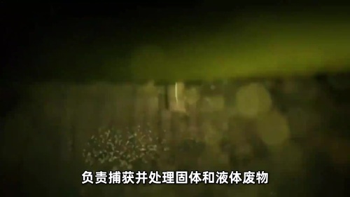 2D动画演示:你知道化粪池的工作原理吗?