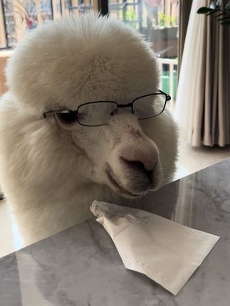 ...在抖音 #就喜欢萌萌乖乖的小萌宠 #开学倒计时 #抖音萌宠 #原创视频