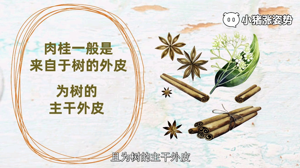 桂枝和肉桂的区别