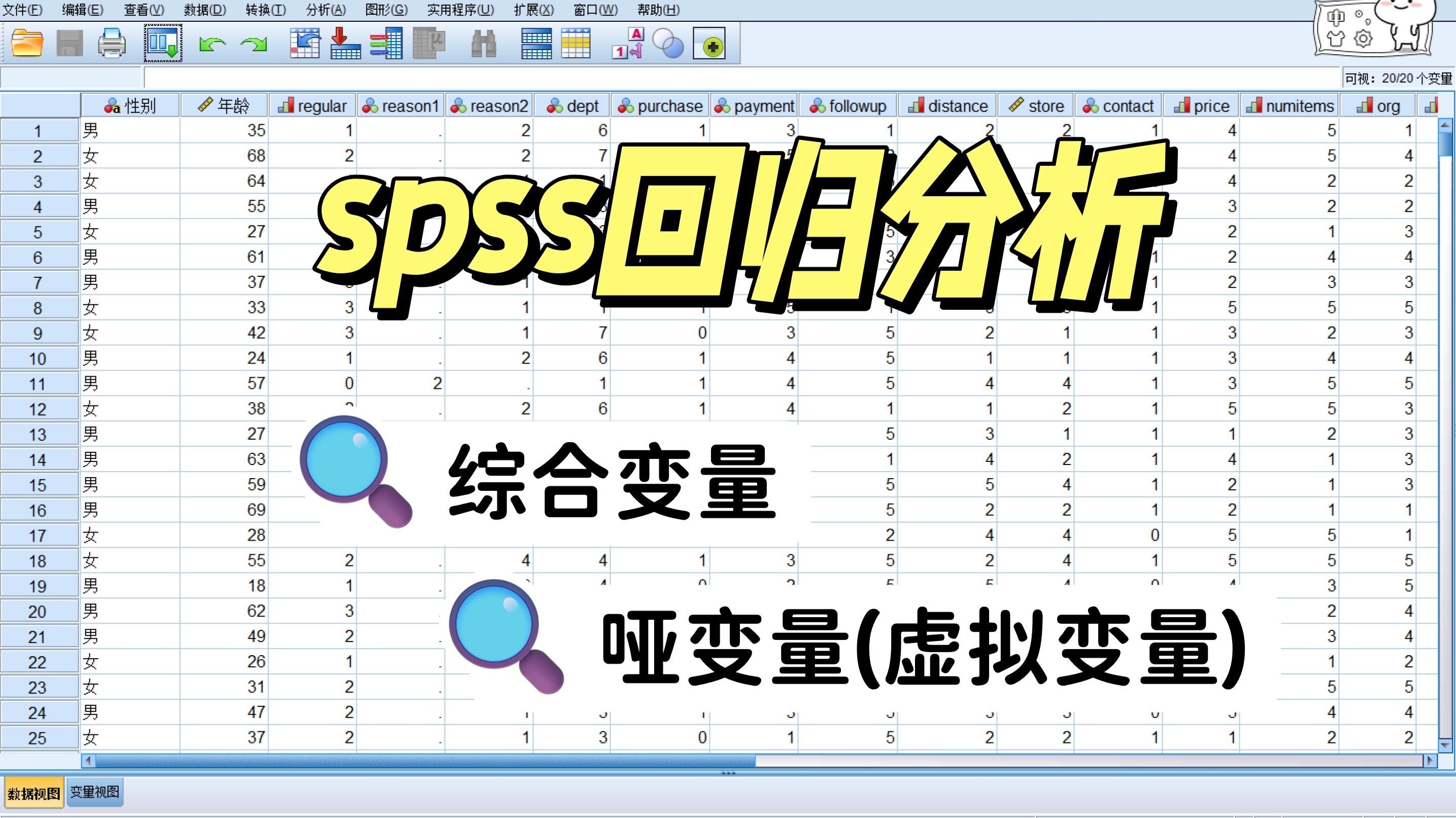 SPSS回归分析-综合变量+哑变量情况处理