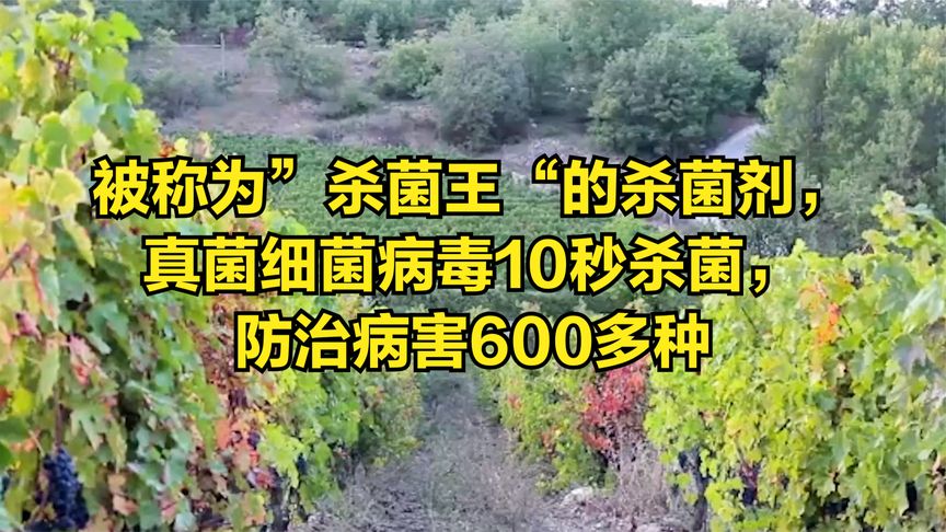 被称为”杀菌王“,真菌细菌病毒10秒杀菌,防治病害600多种
