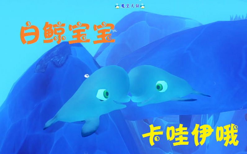 天铭 模拟鱼 海底大猎杀 Feed and Grow Fish 101 白鲸,更新白鲸啦!