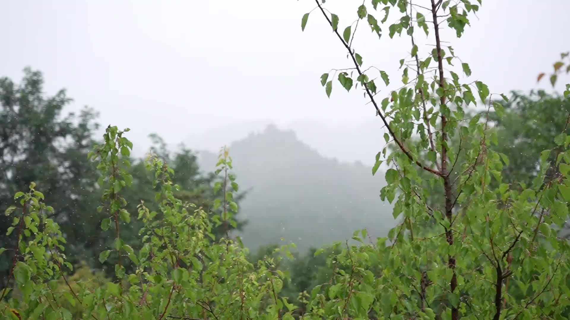 ...心中满是欣慰与喜悦。今天,虽然天空下起了细雨,但丝毫没有影响我们...