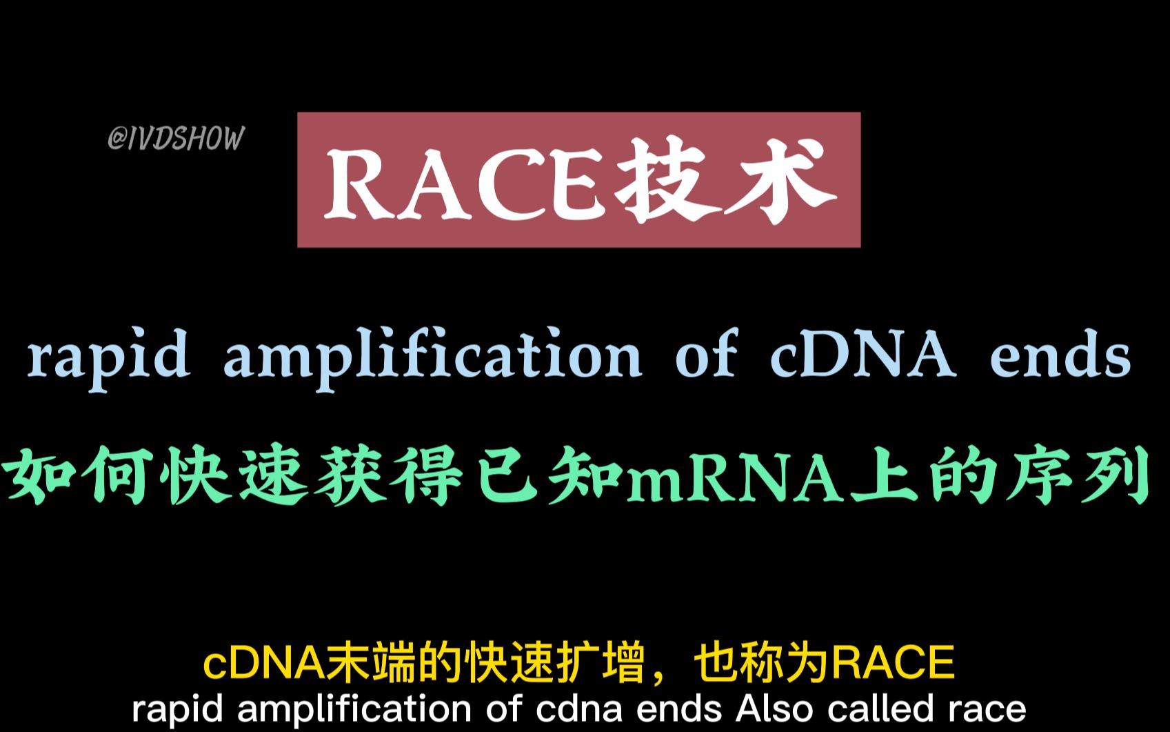 什么是RACE技术?由已知的一段cDNA片段,如何利用锚式PCR,快速...