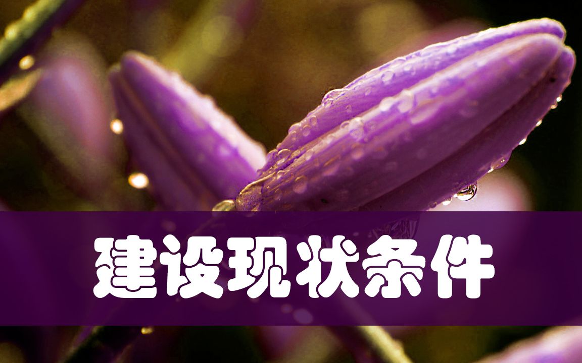 建设现状条件