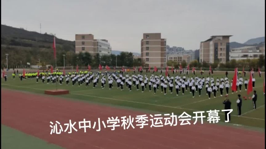 2020沁水中小学秋季运动会开幕式