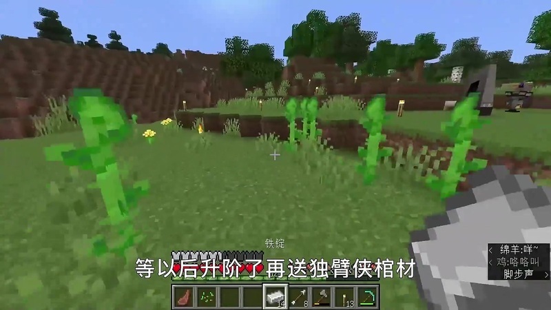 我的世界魔法艺术5:找到村庄,成功转化一个蓝袍的法术商人
