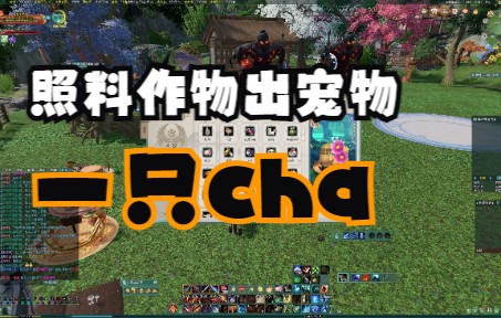 剑网三家园照料作物收获猹宠物