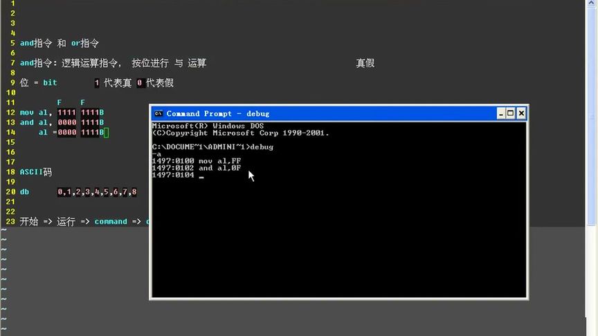 汇编语言进阶教程:第75讲,字符型数据定义和AND指令和OR指令