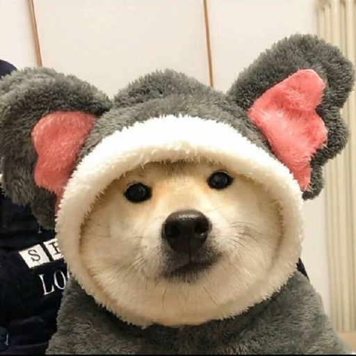 没雷经常吃ac的炎 