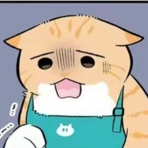 玩狸猫的汤圆 