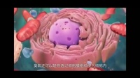 臭氧的作用及其应用