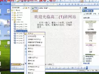 FrontPage网页制作基础视频教程 第一章 第五节 网页主题和共享边框