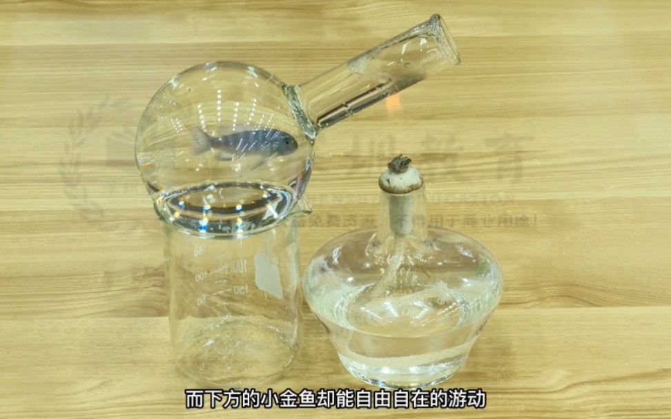 《热在水中的传递》公开课 优质课【微课 新课标】