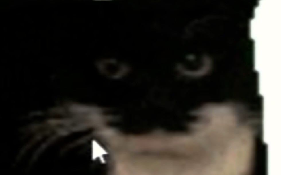 长途旅行模组安装教程及推荐模组(封面doge)