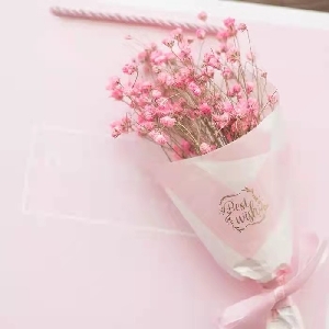 包包是可爱馅的 