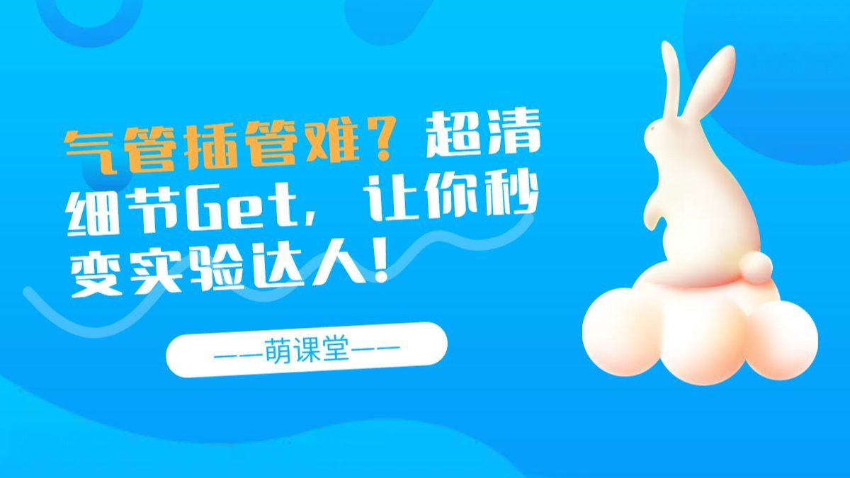 家兔气管插管,超清操作细节!让你掌握实验技巧!