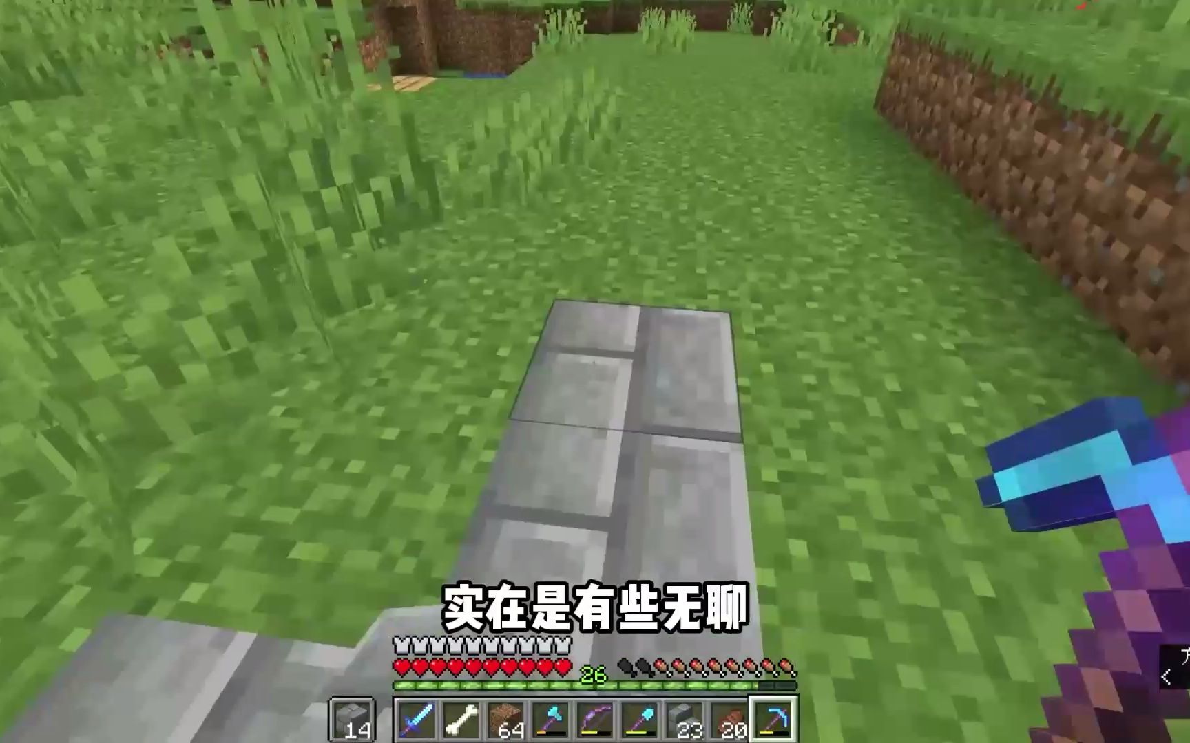 【我的世界百日生存挑战测试】:堡垒(38下)