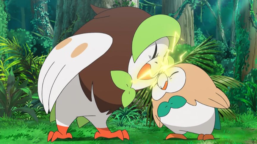 宝可梦:进化大战开始,小智的木木枭有点吃亏,个子矮体格还小