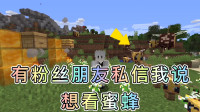 我的世界蜜蜂介绍:中国版更新蜜蜂了,蜂蜜效果堪比牛奶!