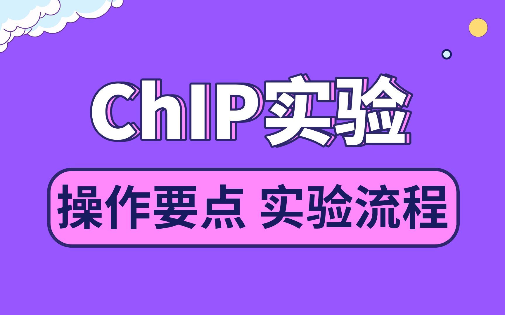免疫共沉淀,ChIP实验的原理,流程,操作要点,注意事项详细教程