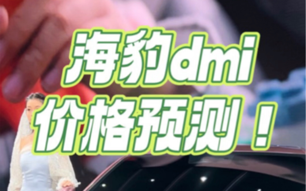 海豹dmi的起售价会是多少。