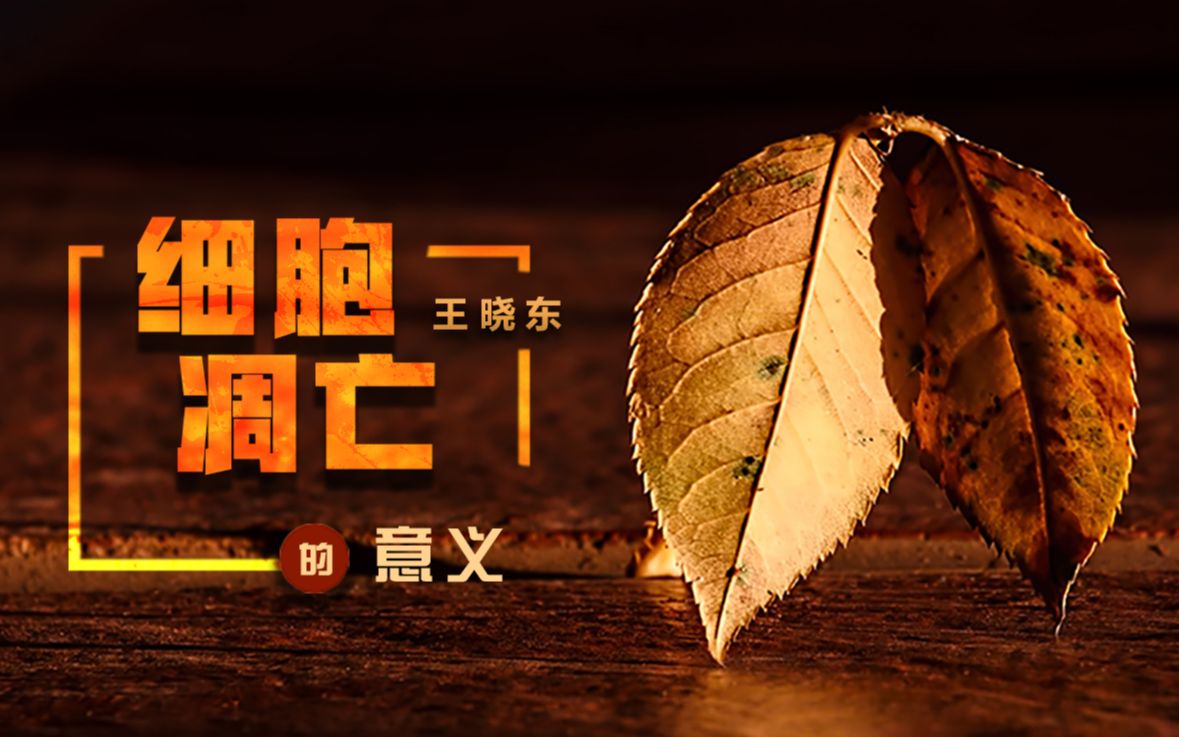 【墨子沙龙】王晓东——细胞凋亡的意义