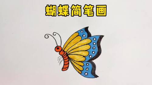 蝴蝶简笔画简单又好看的蝴蝶简笔画来了一起来试试吧