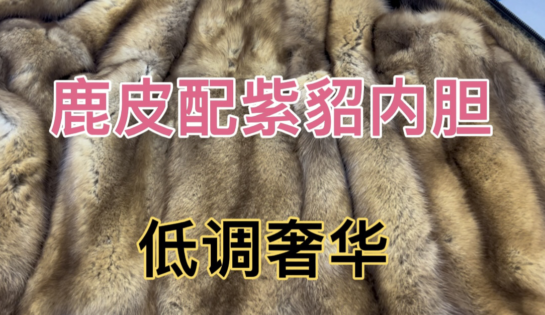 一件皮衣好几万,头层鹿皮加紫貂内胆商务款,低调的奢华