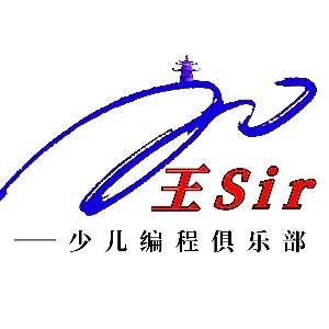 少儿编程王Sir 